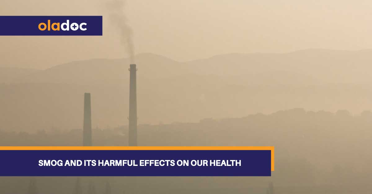 Smog And Its Harmful Effects On Our Health Smog And Its Harmful Effects On Our Health